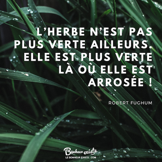 ? L’herbe n’est pas plus verte ailleurs. Elle est plus verte là où elle ...